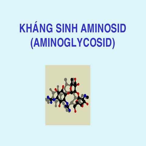 Aminoglycosid.pptx