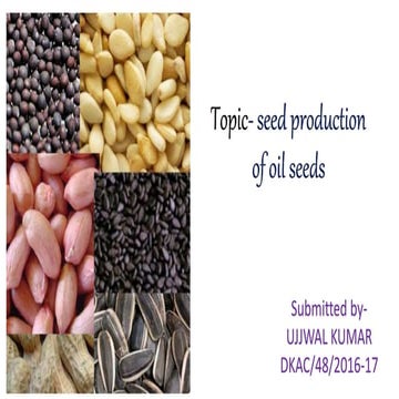 seed production of oil seeds | PPTX
