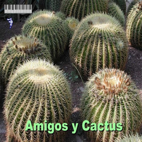 Frases de amistad | DOCX