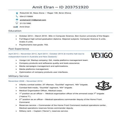 Amit Elran CV | PDF