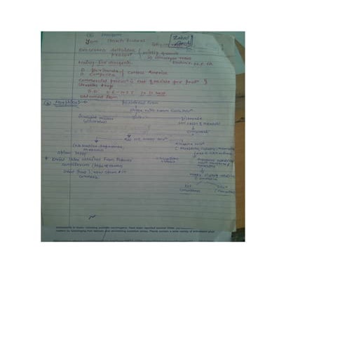 Pharmacy notes | DOC