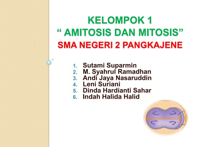 1. macam macam mitosis, meiosis, amitosis | PPTX