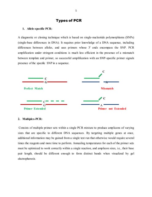 Reverse Transcription | PPTX