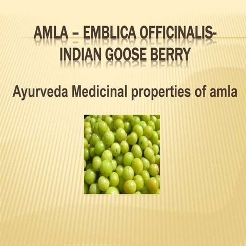 Health benefits of amla and its usage | PPTX