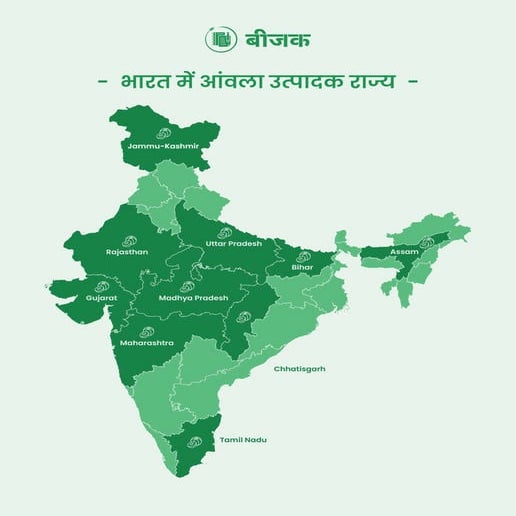 All about Amla Cultivation, Varieties & Trade in India | PDF