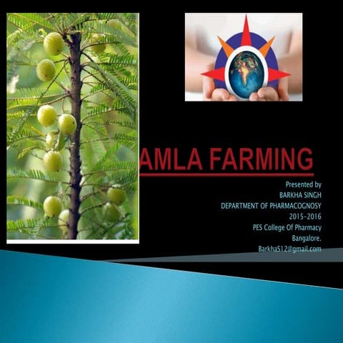 Amla farming | PPTX