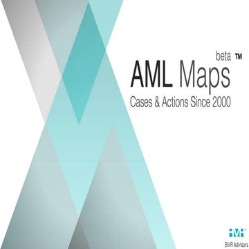 AMLMaps - Research & Highlights Report | PPT