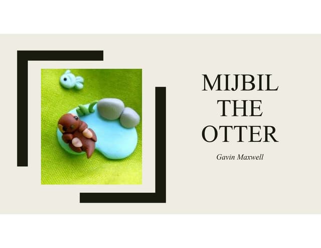 Mijbil_the_Otter_PPT_Class_X.pptx for class X | PPTX