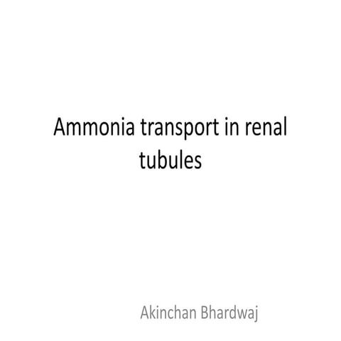 Ammonia transport in renal tubules | PPTX
