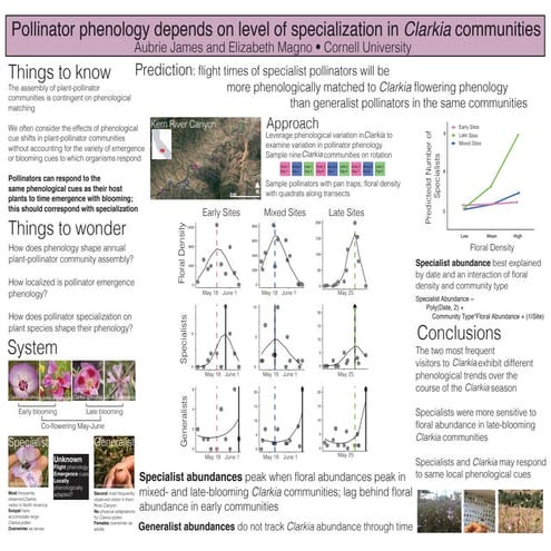 Pollinator phenology depends on level of specialization in Clarkia ...