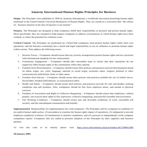 Human Rights Principles for Business - Amnesty international | DOCX ...