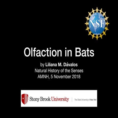 BATS in the wolrd and the basic ecology.pptx