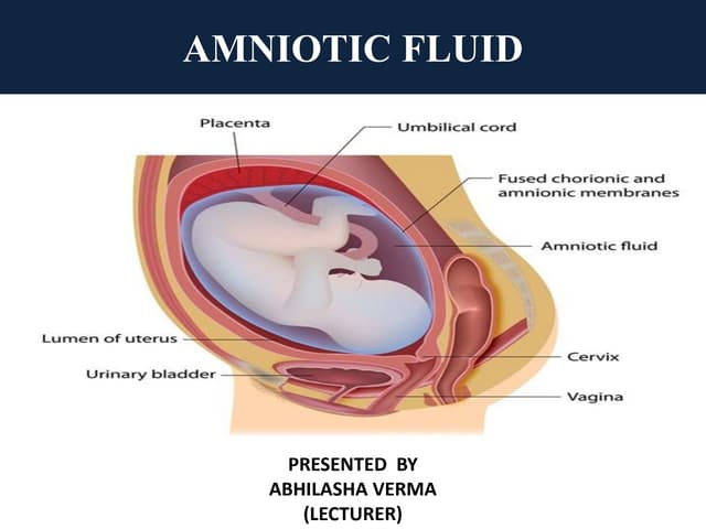 Fetal Membranes, Amniotic Cavity and Amniotic Fluid | PPTX