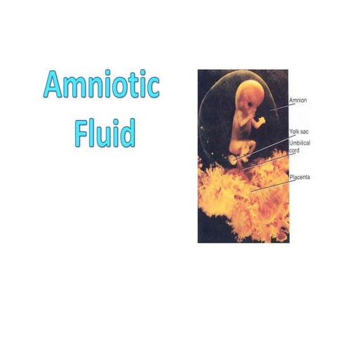 AMNIOTIC FLUID PPT | PPTX