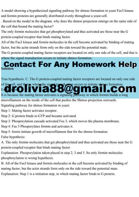 A plane electromagnetic wave traveling in the positive direction of a.pdf