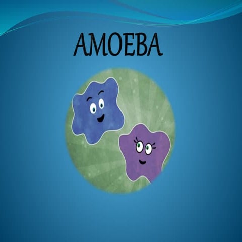 Amoeba | PPTX