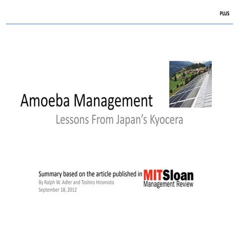 Amoeba management | PDF