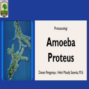 Amoeba Proteus_Helvi Maudy Saswita, M.Si.pptx