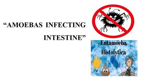 Reduviid bug And Chagas Disease | PPT