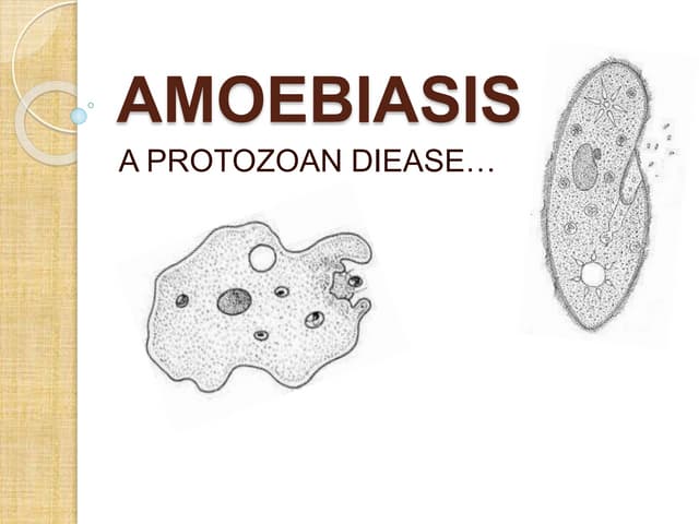 Amoebiasis | PPTX