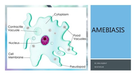 Amoebiasis | PPT