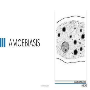 AMOEBIASIS . COMMUNITY HEALTH NURSING BSC[N] | PPT