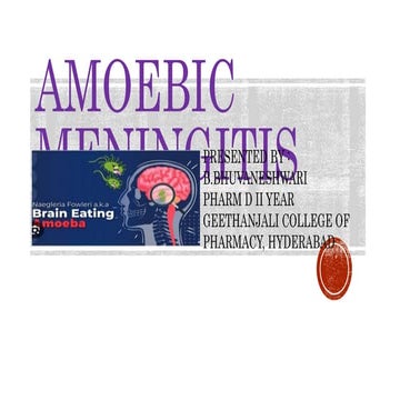 Amoebic meningitis : Brief about the disease | PPTX