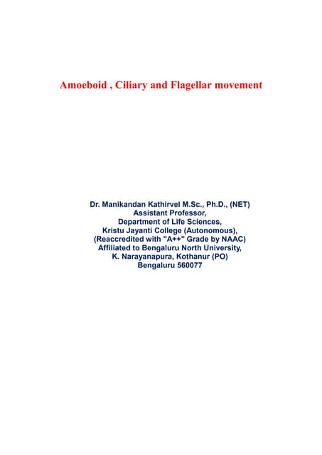 Locomotry organelle & locomotion in protozoa | PPTX