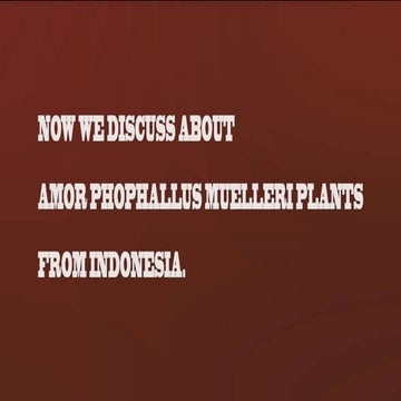 Konjac Growing | PPTX