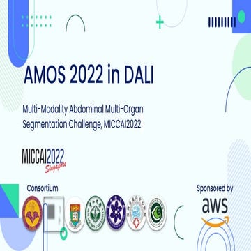 AMOS-Satellite-MICCAI-2023-Challenge.pptx
