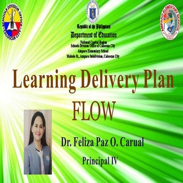 Amparo-Elem-School-Learning-Delivery-Plan-FLOW.pptx