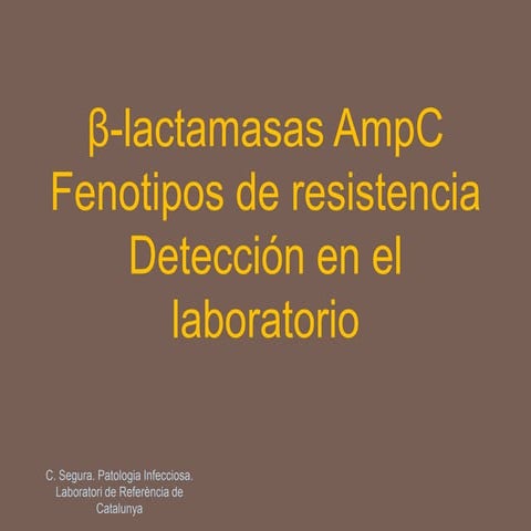 ampc detection.pdf
