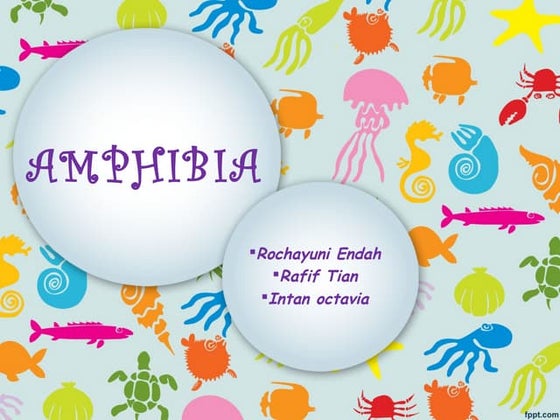 PPT KEL 1 ZOOLOGI VERTEBRATA kelas amphibia.pdf