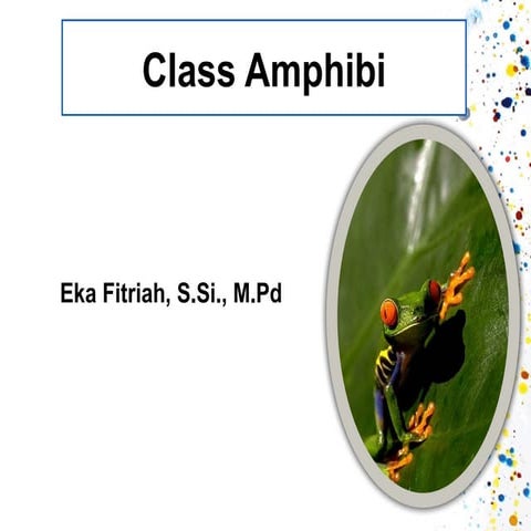 edukasi presentasi amphibi ok fix.pptx.... | PPT