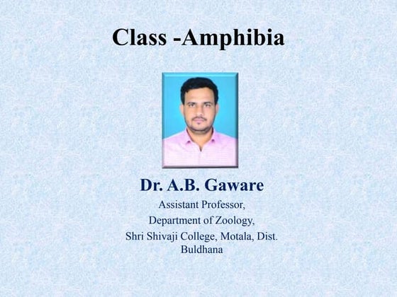 Petromyzon -External features and comparative hagfish | PPTX | Ear ...