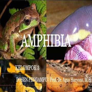 AMPHIBIA kelompok 3.pptx
