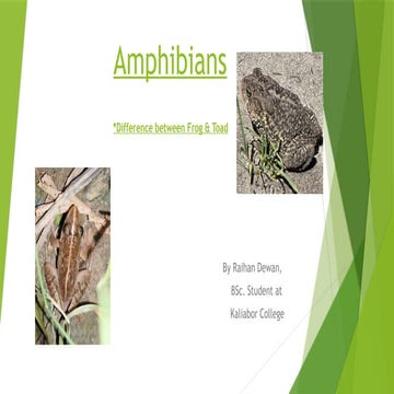 AMPHIBIAN, Deference between Frog and Toad ppt.pptx