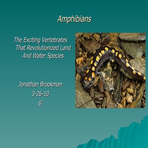 Amphibians | PPT | Reptiles | Pets