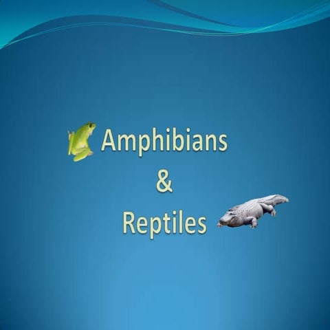 Amphibians and Reptiles | PPTX