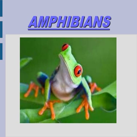 Biology 30 3 amphibians | PPTX