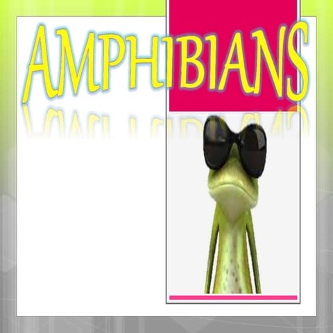Amphibians | PPTX