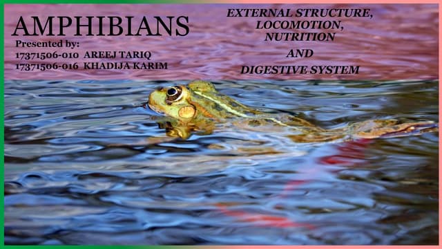 Digestive system of reptiles | PPTX