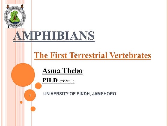 Classification Of Amphibia Ppt