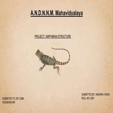 Amphibians - ANSHIKA SLIDES.pptx | Biological Sciences | Science