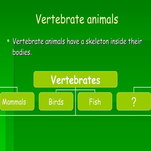 Amphibians Frog | PPT