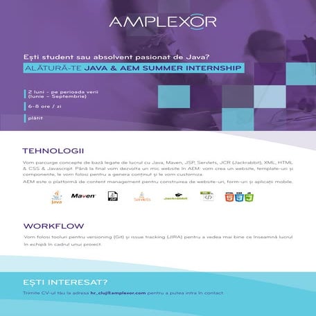 Internship Program for developers in Romania | Java & AEM | PDF