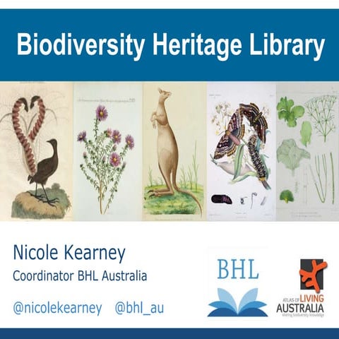 Biodiversity Heritage Library - an overview for the Australian Museum | PPT