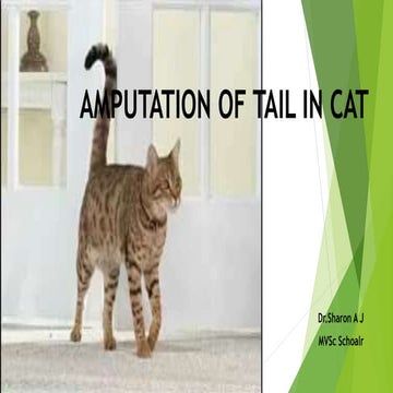 Amputation of tail in cat | PPTX