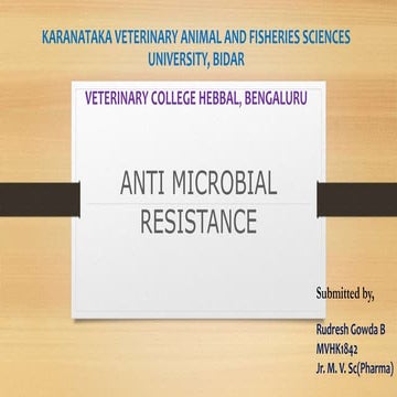 Anti-microbial Resistance | PPTX