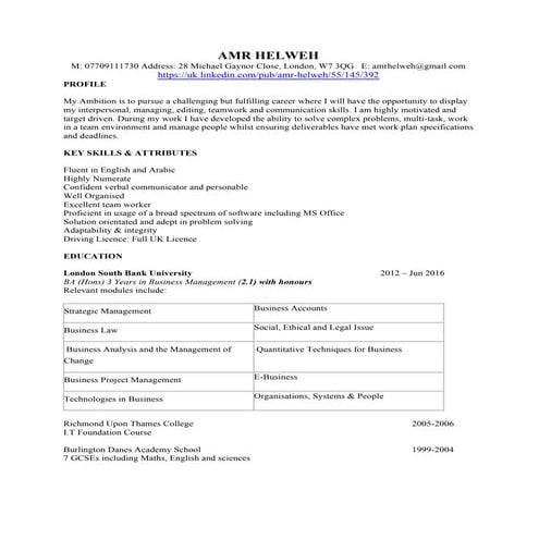 Amr cv 2017 | PDF | Business Administration | Business